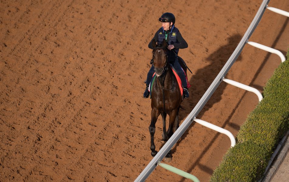 'I've barely allowed myself to think about Saturday' - star stayer ...