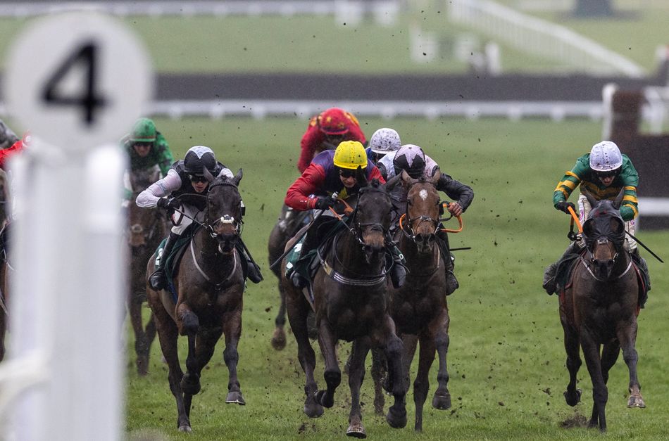 Dashel Drasher recovers second place in Stayers' Hurdle - but Teahupoo ...