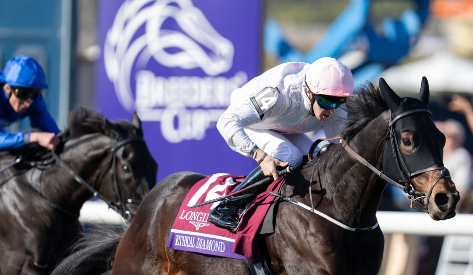 Breeders' Cup Turf hero Ethical Diamond set to return at Royal Ascot as ...