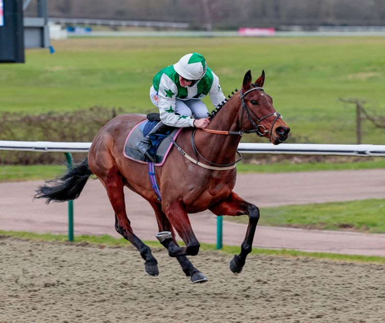 'He's just a little star' - all-round ace Mr Freedom continues to shine ...