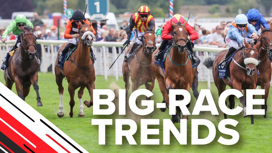 Big-race trends: course-and-distance winner looks overpriced for ...