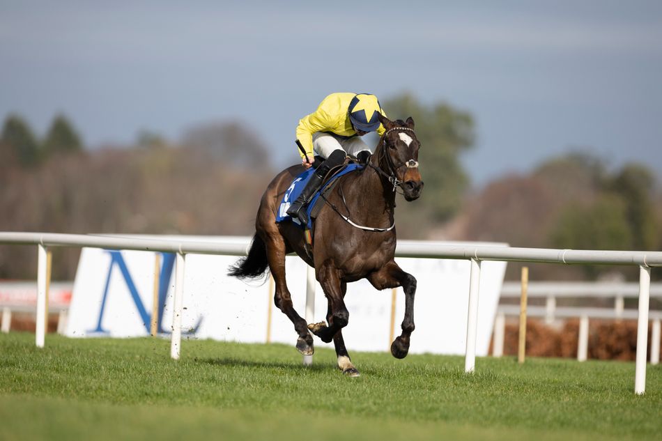 Barry Connell rules Good Land out for the season after Grade 1-winning ...