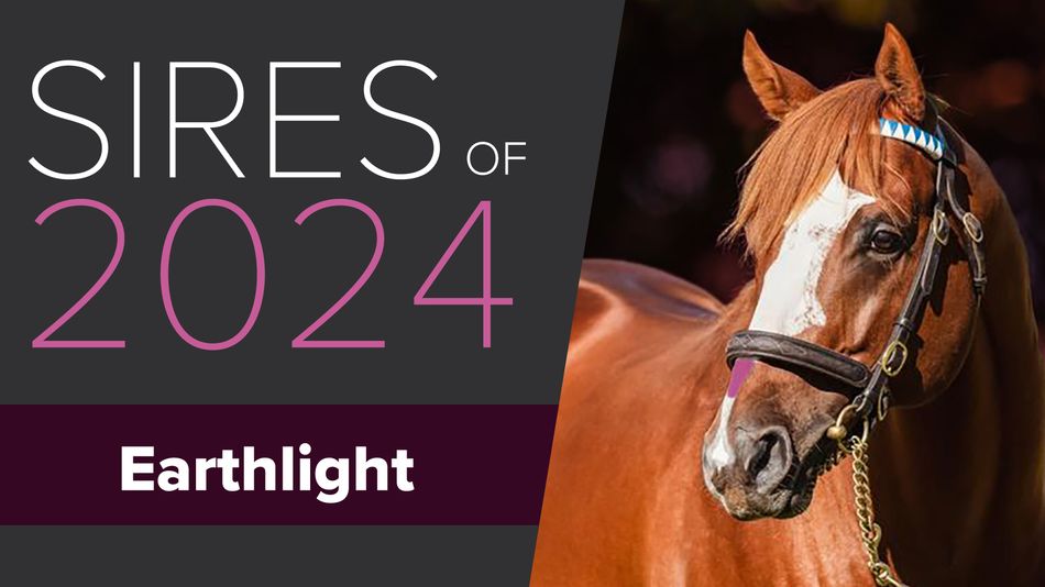 Yearling buzz and prices augur well for Earthlight's first runners this ...