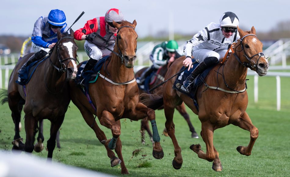 Gemma Tutty beaming as Spring Mile star Look Back Smiling gives trainer ...