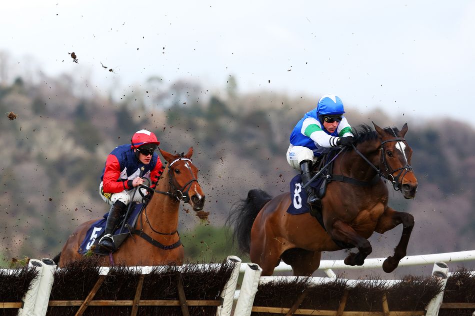 Can Dan Skelton-trained Hoe Joly Smoke get off the mark at the seventh ...