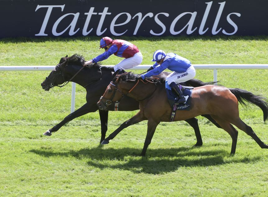Owen Burrows gunning for Los Angeles rematch in Prince of Wales's ...