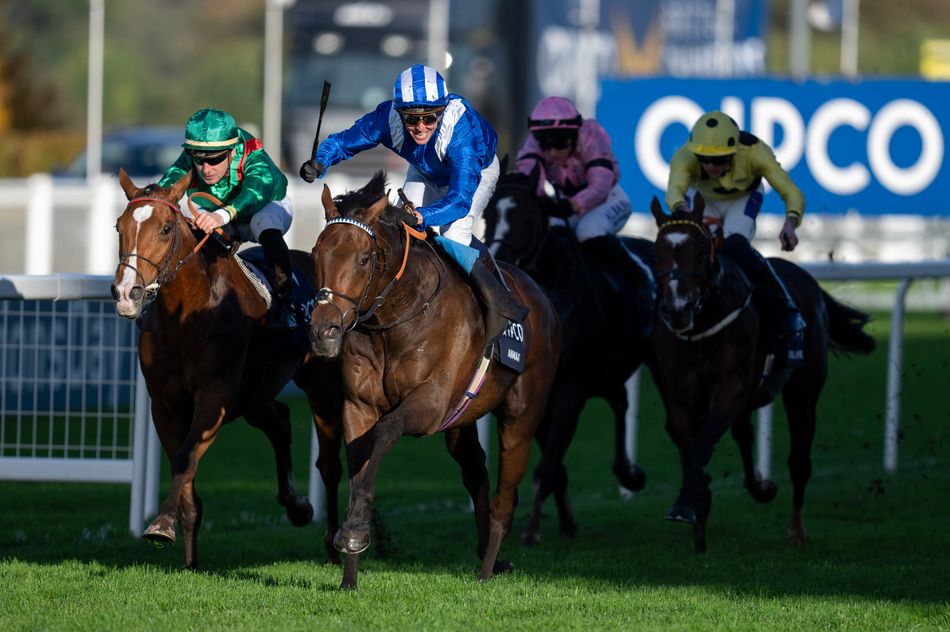 40-1 shock! Jim Crowley and Anmaat fly home to deny French raider ...