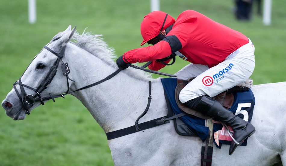 Dan Skelton keen to run Grey Dawning in Saturday's Charlie Hall but ...