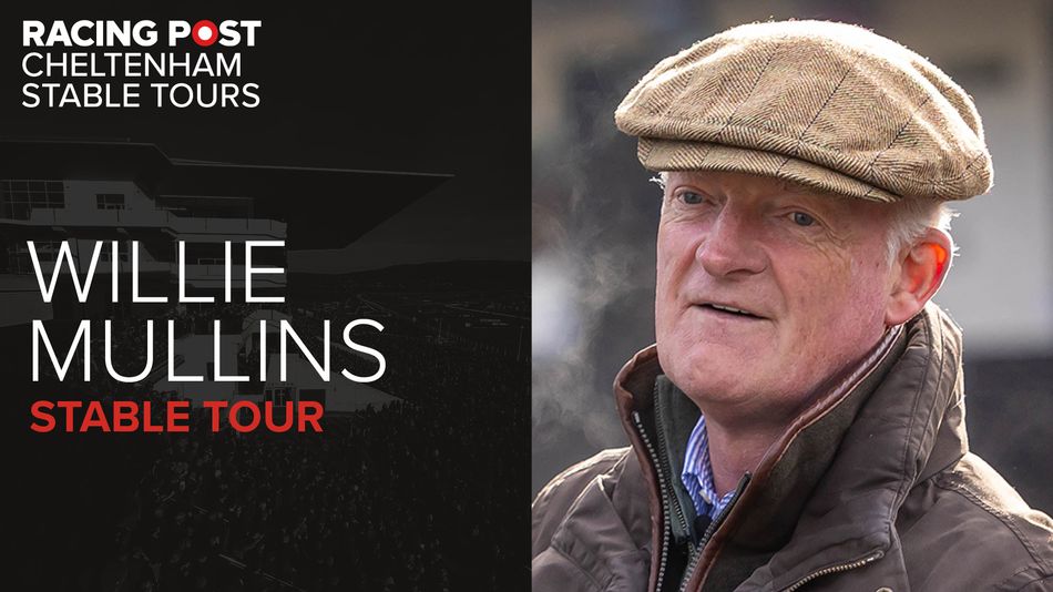 'He's going to run some race in the Champion Bumper' - Willie Mullins ...