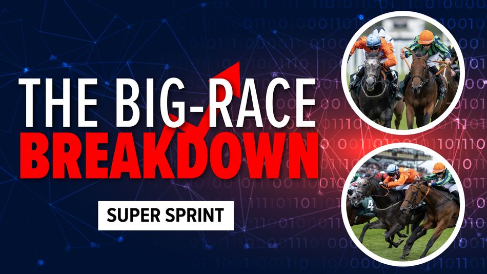 Favourite backers beware: why the market could be all wrong for this ...