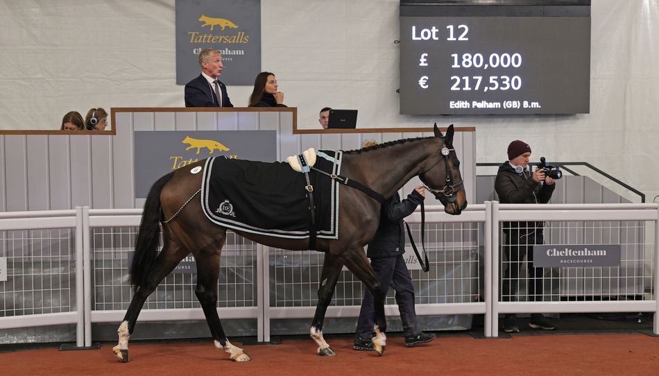 It's love at first sight for Fergal O'Brien after record purchase of ...