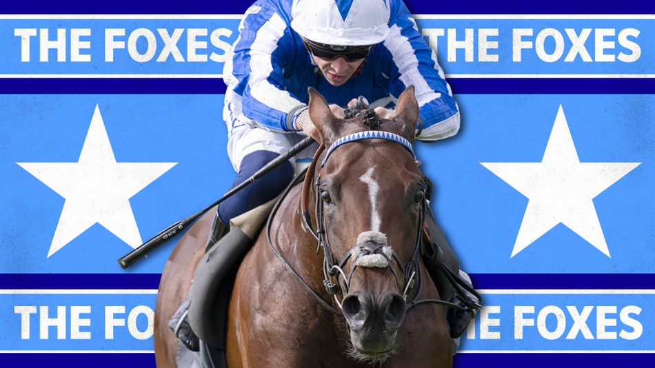 'He's a high-class horse' - can The Foxes continue to boost strong ...