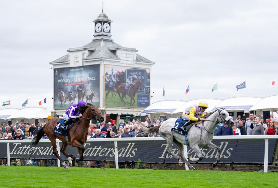 'He was very well bought' - €80,000 Gewan kickstarts a York Group ...