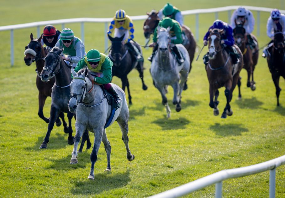 Hurricane Helen storms home to give trainer Chris Timmons a first ...