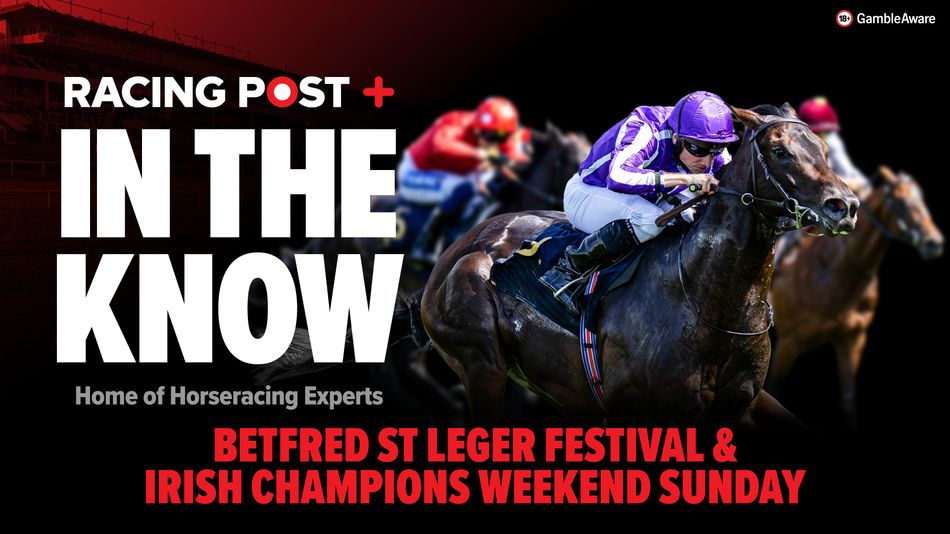 Watch: Tom Segal and Graeme Rodway hunt for winners on a bumper nine ...