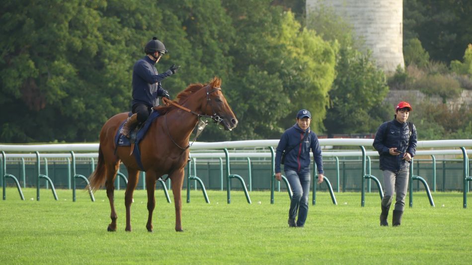 Alohi Alii gets acquainted with Longchamp as Japanese desire for Arc ...