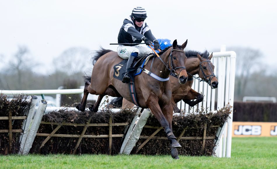 'She could have sent him to a more successful trainer' - Chris Down ...