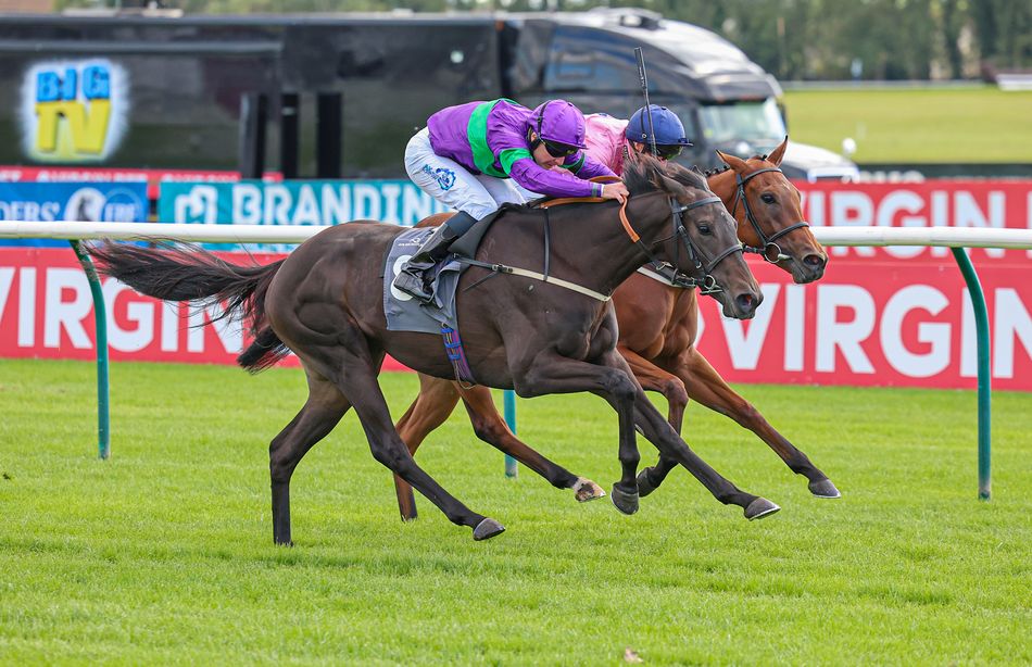 Can Classic-placed Caernarfon cash in on a significant drop in class at ...