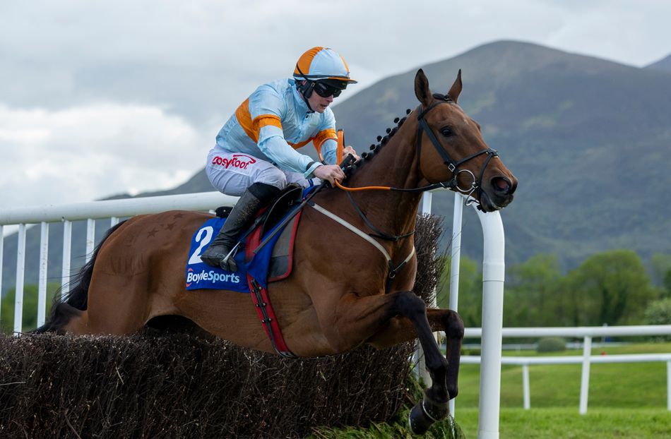 'His jumping is exceptional' - Ash Tree Meadow jumps his rivals into ...