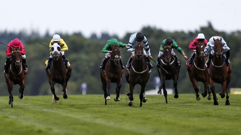 Which jockeys are competing in the Shergar Cup at Ascot on Saturday ...