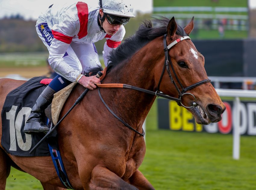 Chester Cup favourite in waiting game to see if he makes the cut ...
