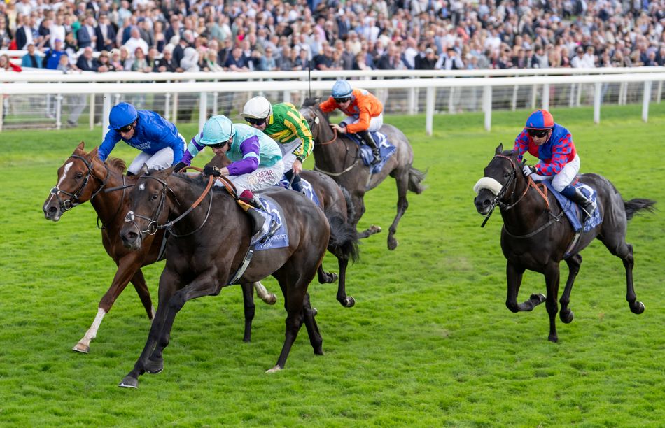 Bargain-buy Cool Hoof Luke comes out on top in tight finish to the ...