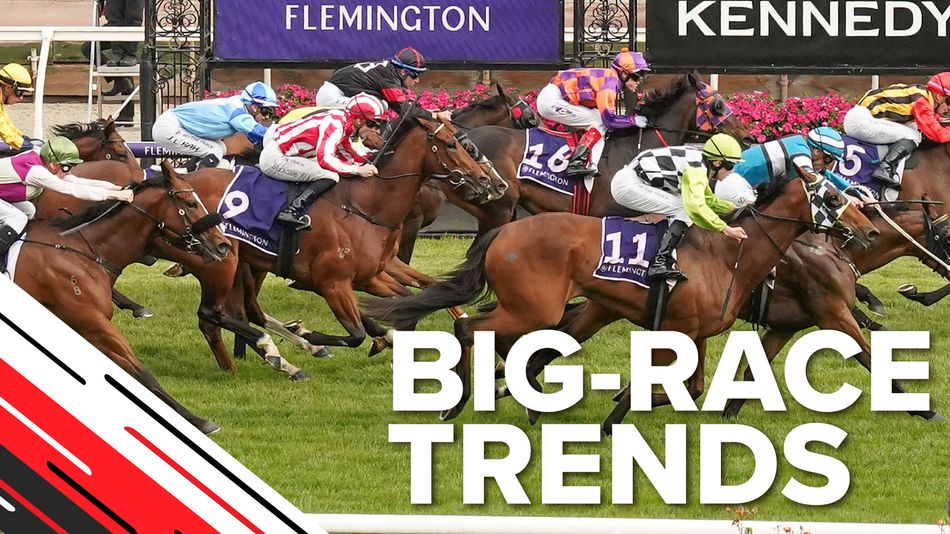 Big-race trends: key stats to help you solve the Melbourne Cup | Racing ...