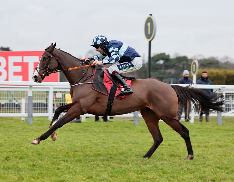 'He's extremely well handicapped' - Chasing Fire among a host of ...