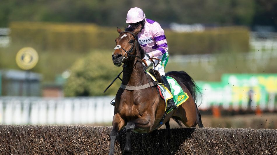 Nicholls team pin Greaneteen Champion Chase hopes on crucial Lambourn ...