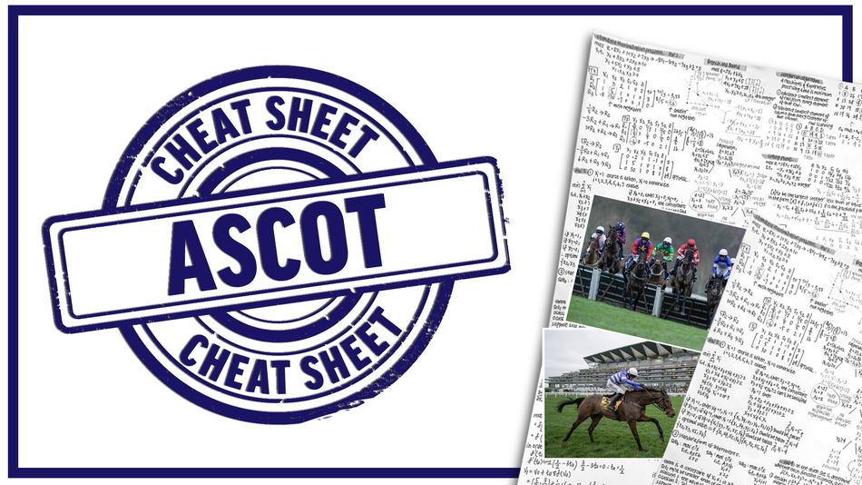'He has the potential to be one of Britain's top novices' - trainer ...