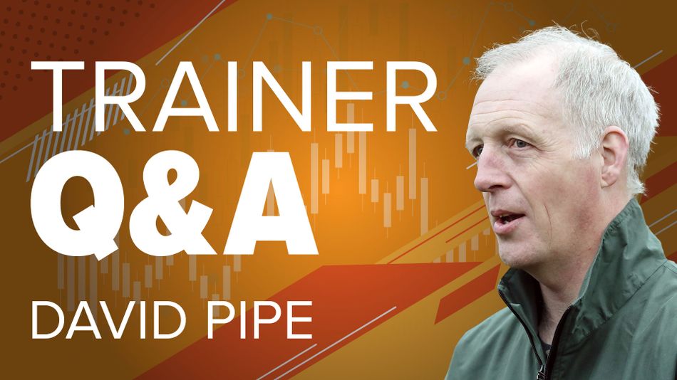 Trainer Q&A: 'She asked if I was David Pipe - and if I could sign one ...