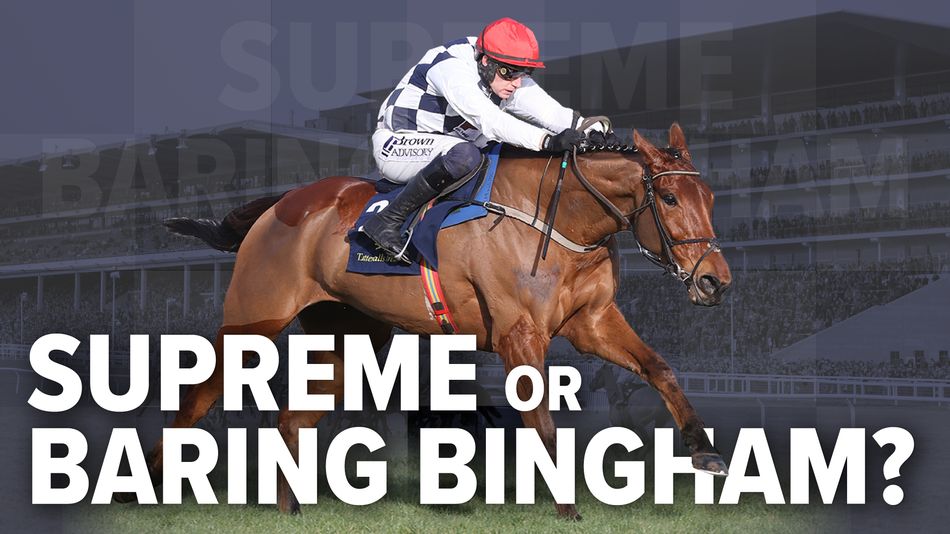 Which race should Ballyburn run in at the Cheltenham Festival? Our ...