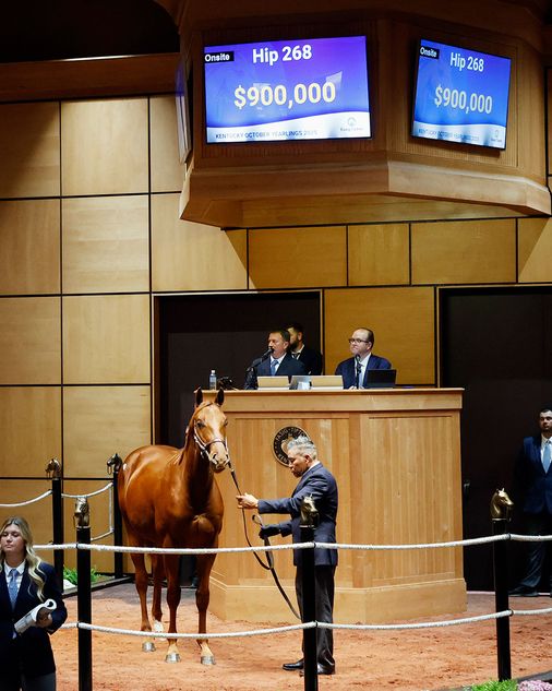 Record opening day of Fasig-Tipton Kentucky October Yearlings Sale sees ...