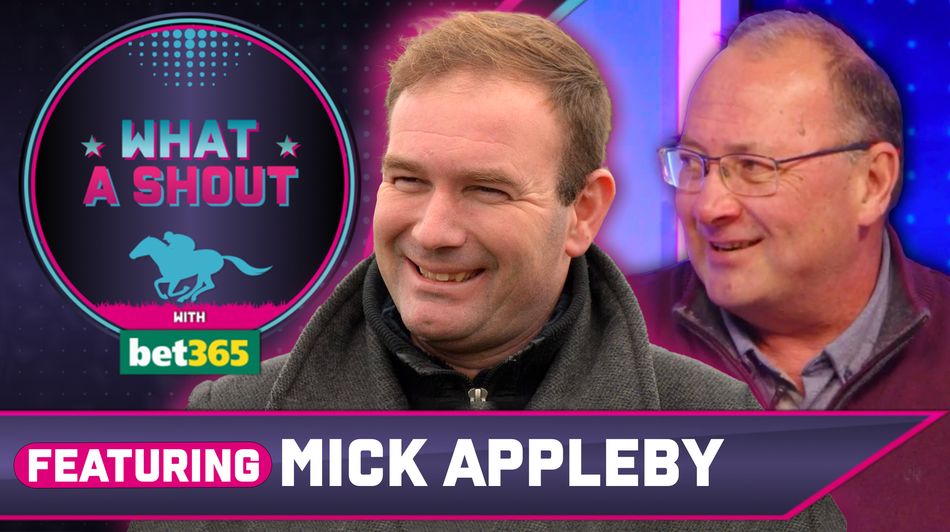 Watch: '600 horses entered and you both NAP the same one' | Mick ...