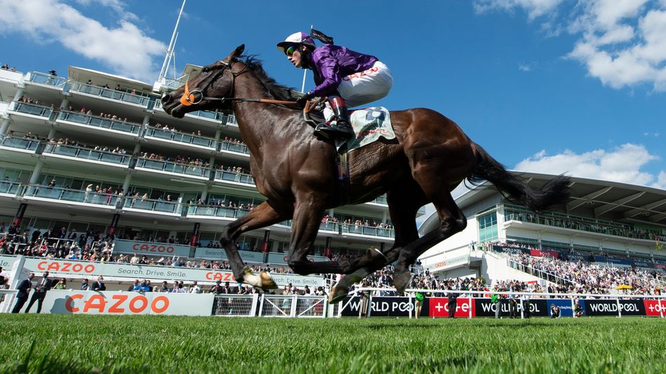 'A great addition to the stallion ranks' - Derby runner-up Mojo Star to ...