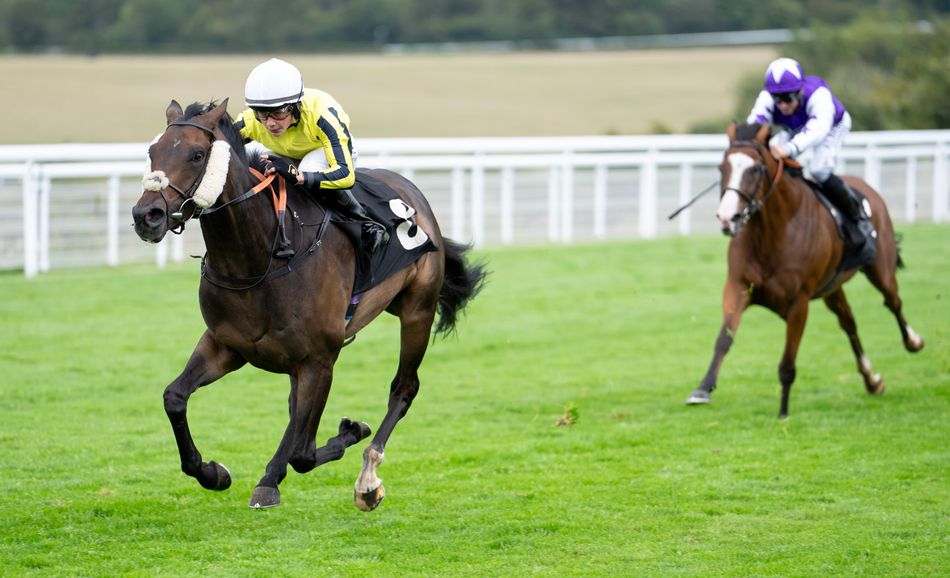 Confirmed runners and riders for the Chester Cup on Friday | Racing Post