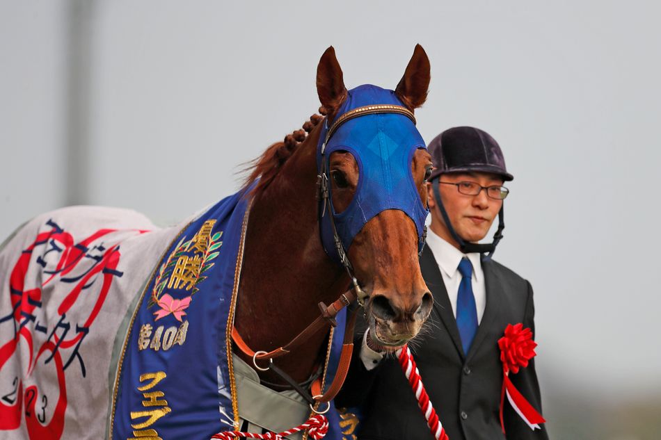 Lemon Pop introduced at ¥5 million as Darley Japan announce 2025 fees ...