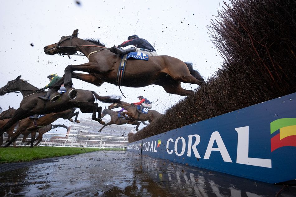Coral Gold Cup and Fighting Fifth Hurdle: the runners and riders this ...