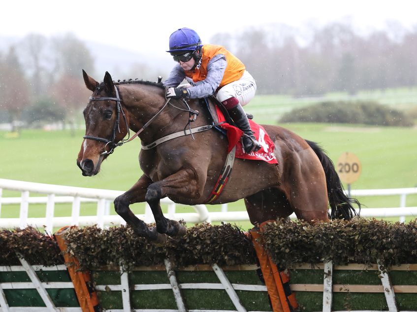 Captain Cody keeping the spark alive for Waterford breeder Richard ...