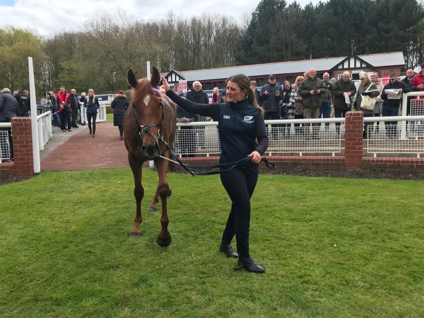 'He hasn't turned a hair' - dramatic Chelmsford loser Concorde gets ...