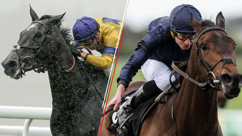 'Hopefully she's not stopped improving' - can Sumo Sam make it back-to ...