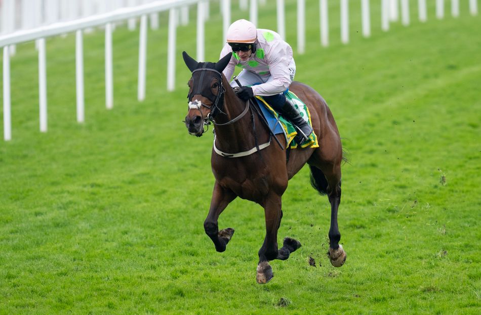 Rich Ricci nominates big target for next season after Gaelic Warrior ...