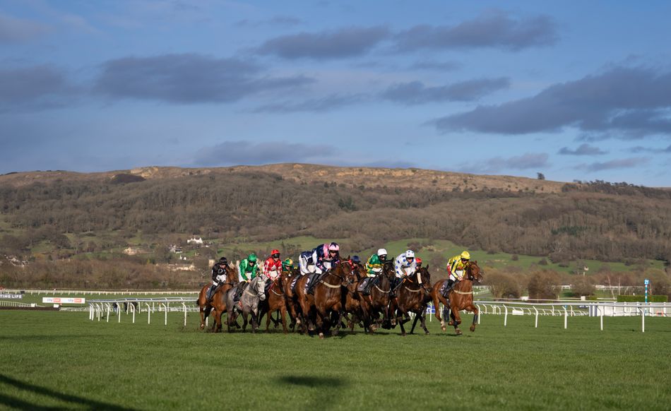 Cheltenham to cover areas of track with temperatures to drop to -2 ...
