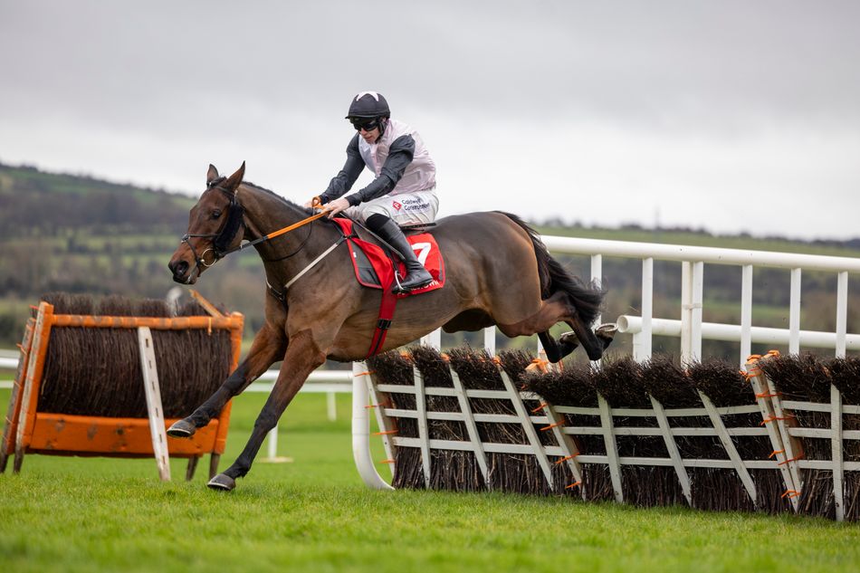 Shannon Royale takes first step into handicap company in fiercely ...