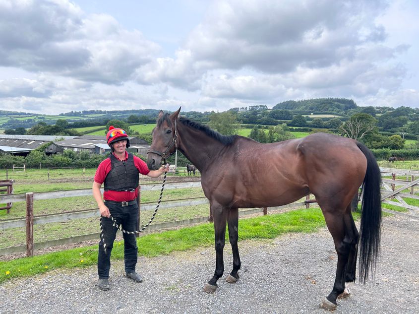 Huge toll taken on Chris Honour as Hillsin investigation passes a year ...