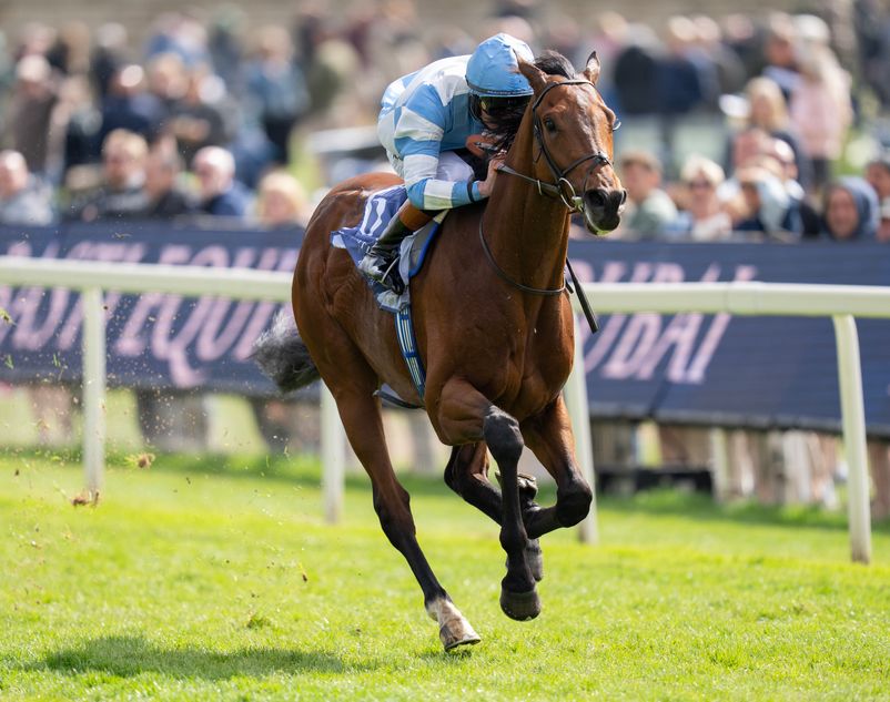 Another Dante triumph for Copgrove Hall Stud as Pride Of Arras follows ...