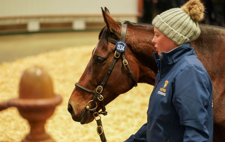 ‘This is kind of a big one for us’ - Callisto Star caps December Mares ...