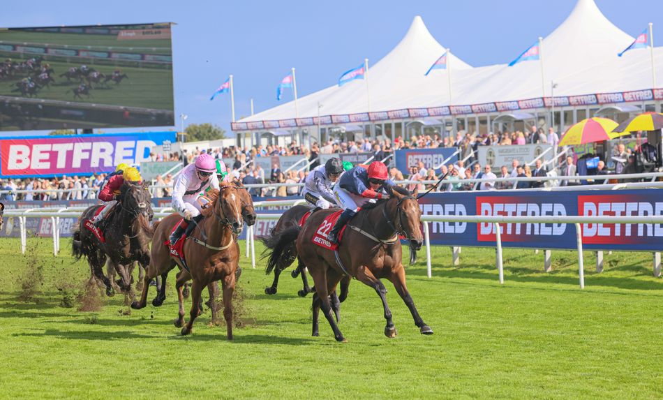 Progressive Portland winner Eternal Sunshine bids to strike again after ...