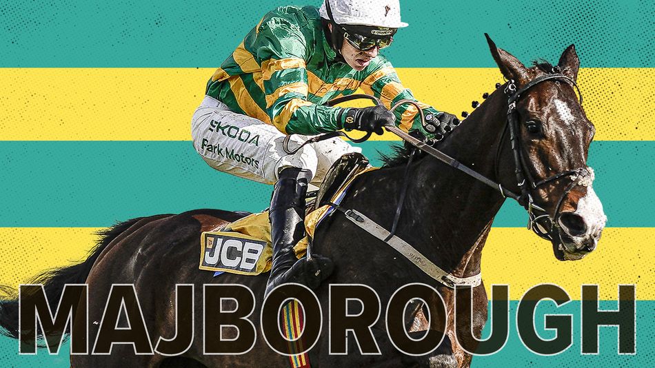 'He looks the pick of ours' - Triumph Hurdle hero Majborough makes ...