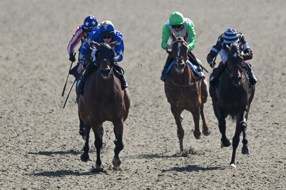 Hearing opens into whether trainer Tim McCarthy took adequate measures ...